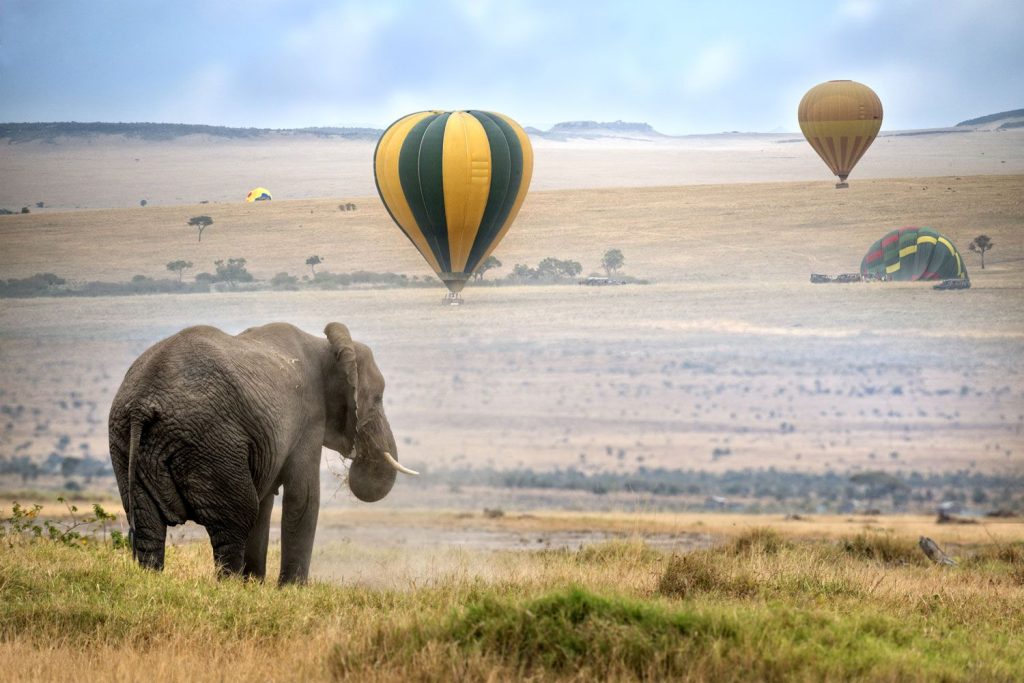 5 Sky-High Ways to Experience an African Safari by Hot Air Balloon