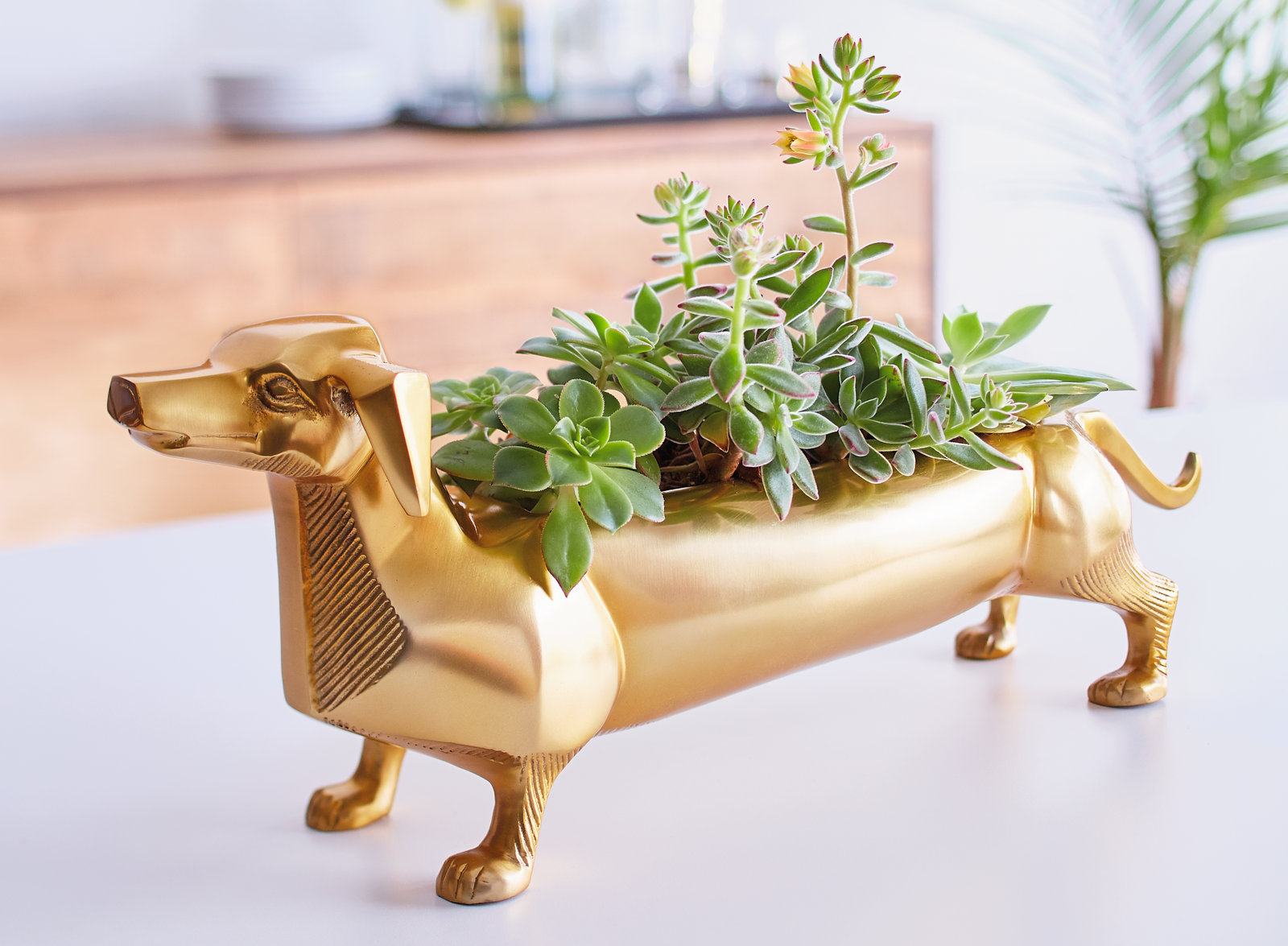 High End Statement Pieces that will Totally Revamp Your Home