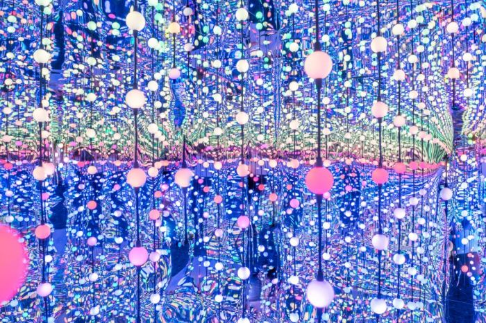 Dopamine Land: A Multisensory Immersive Experience That Will Elevate ...