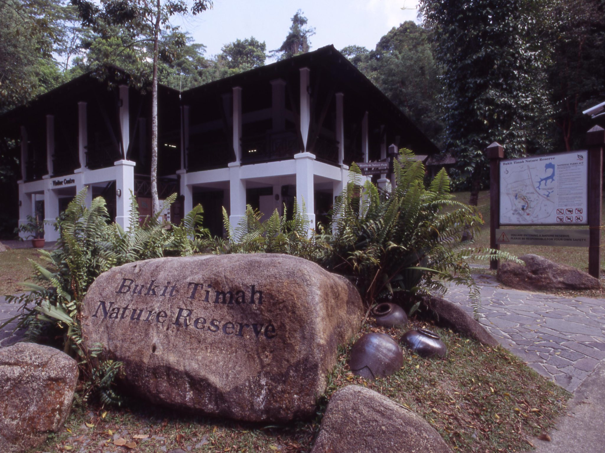 Bukit Timah Nature Reserve - JustLuxe