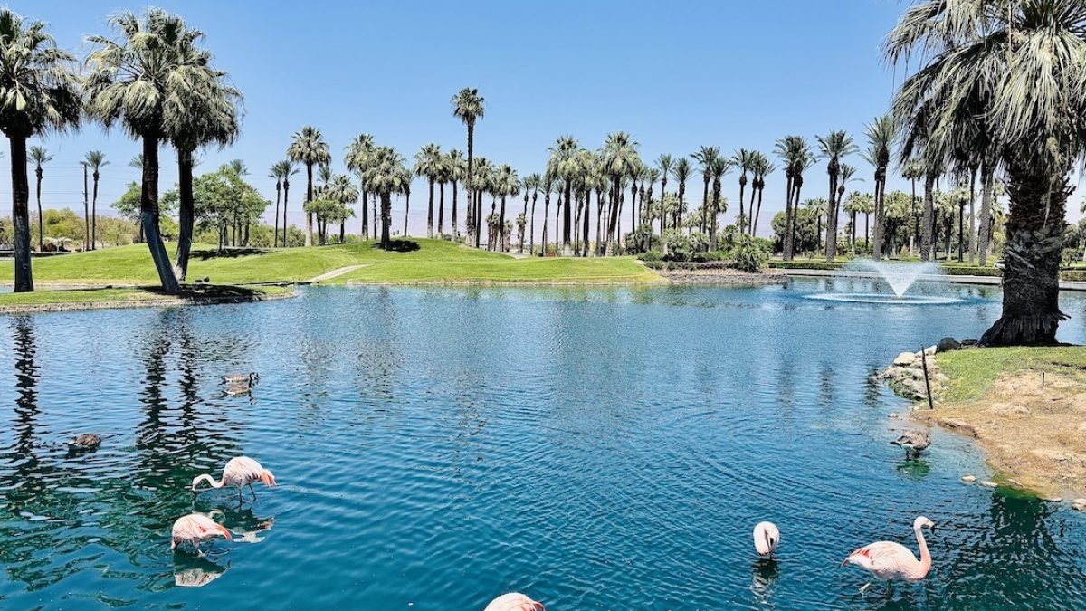 JW Marriott Desert Springs Resort & Spa's New Blue Zone Wellness ...