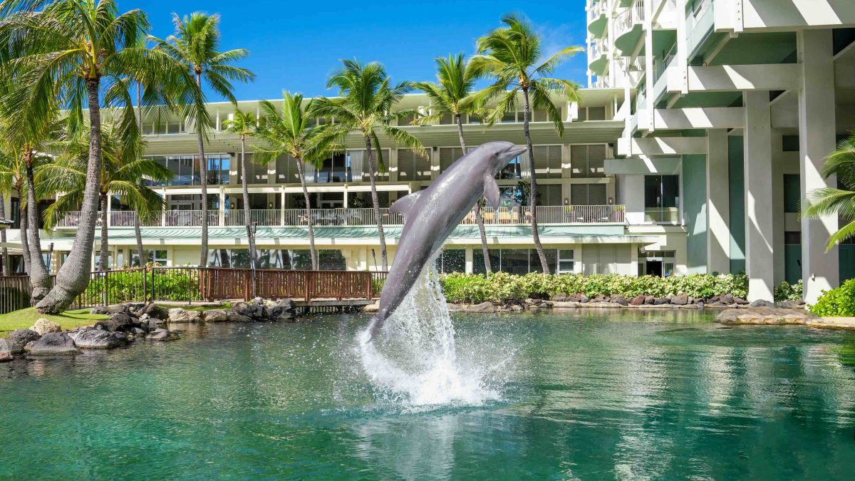 At The Kahala Hotel & Resort, The Dolphins Steal the Show - JustLuxe
