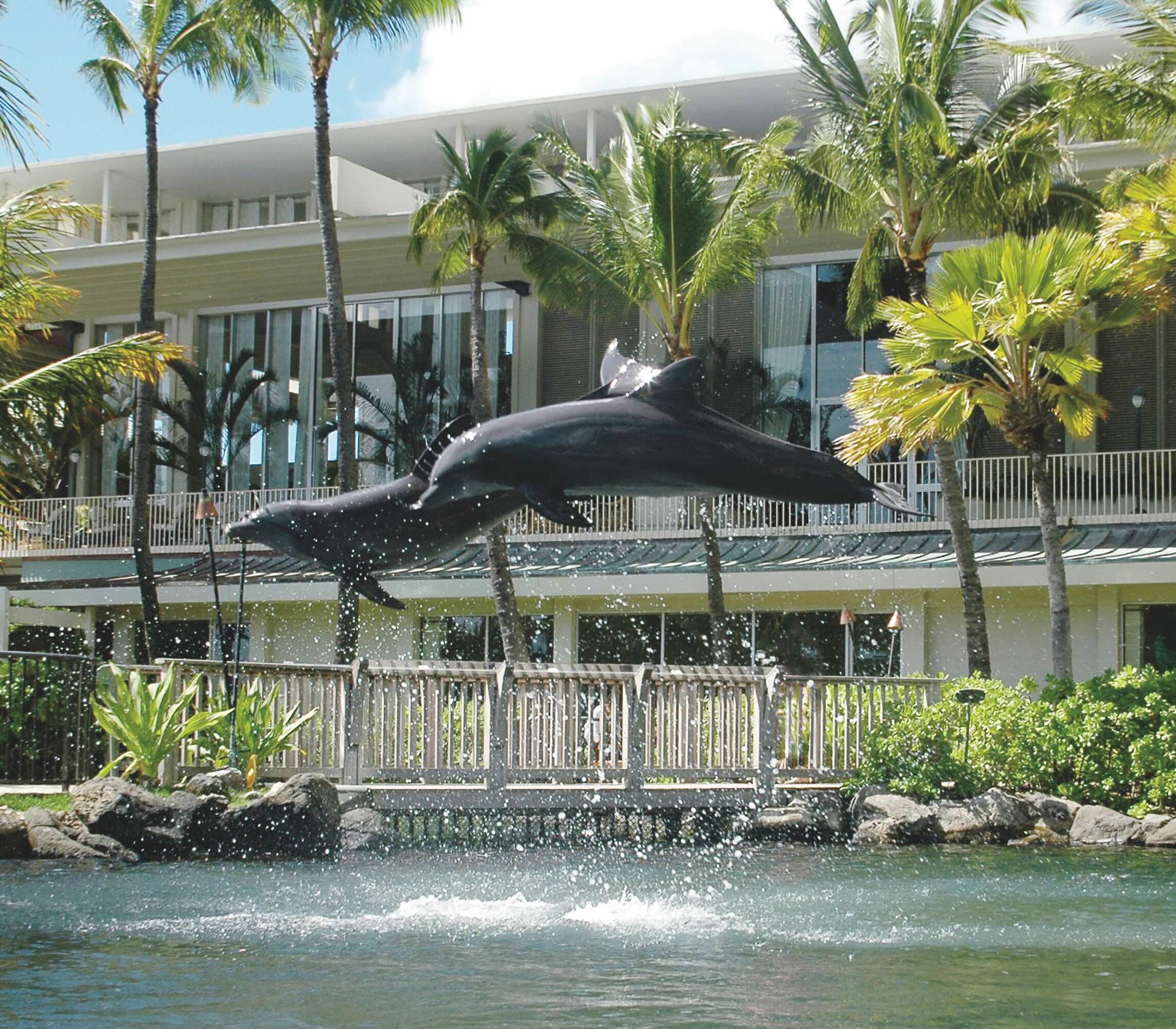 At The Kahala Hotel & Resort, The Dolphins Steal the Show - JustLuxe