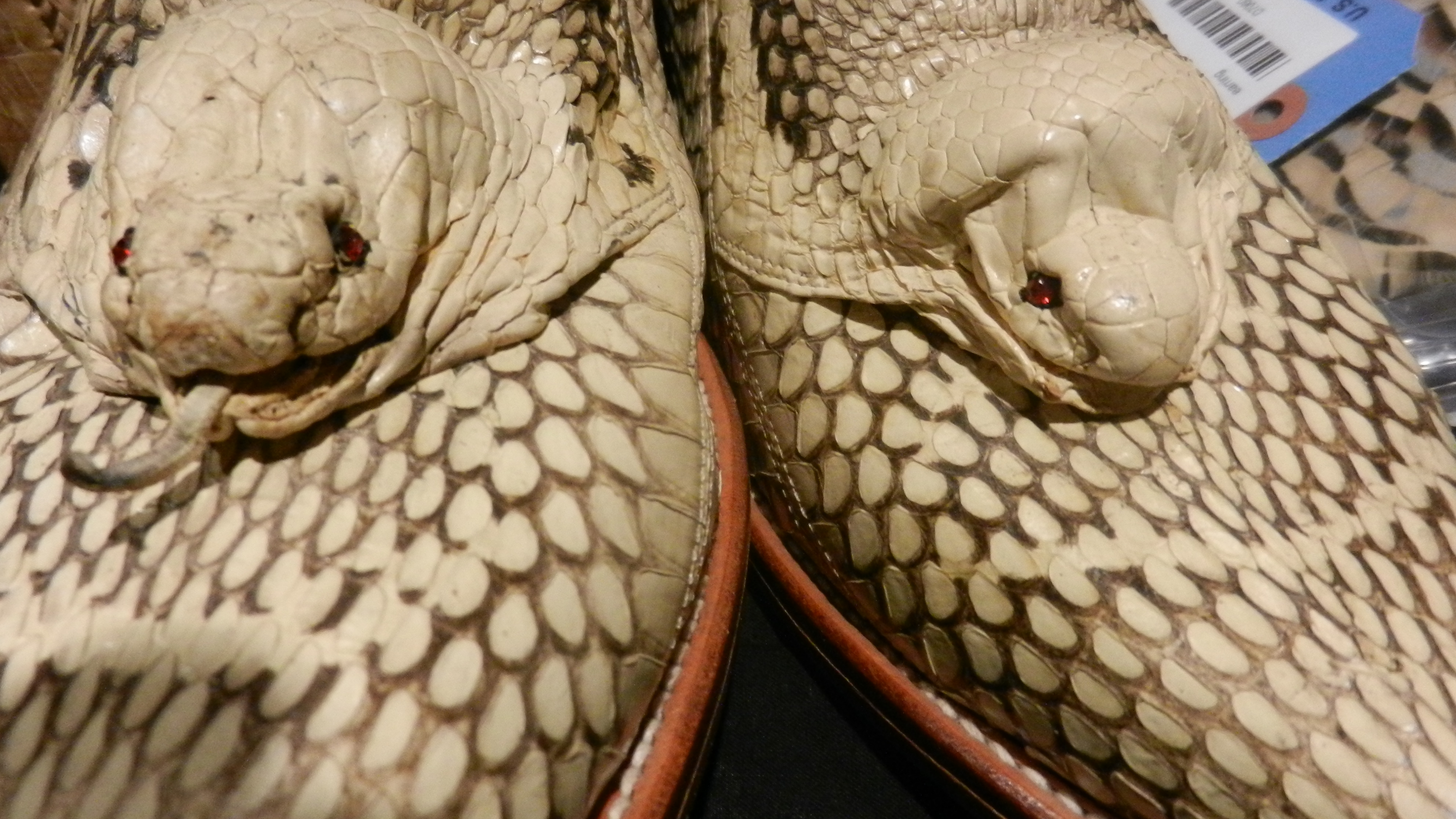 The Ugly Truth of Wildlife Poaching: Alcatraz East Temporary Exhibit ...