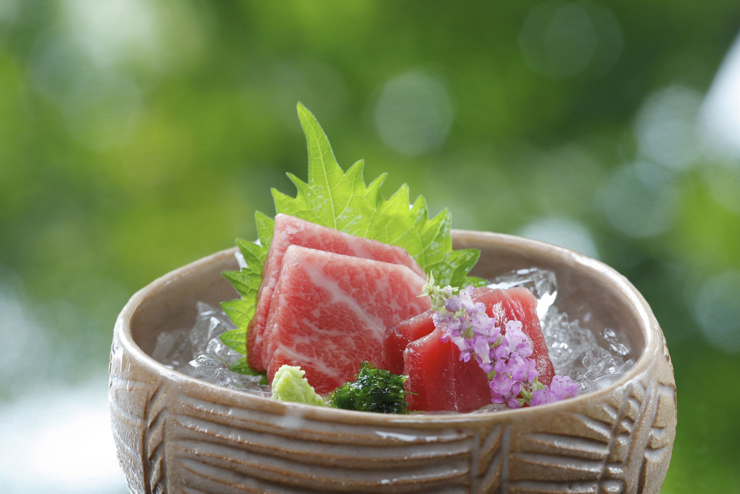 The Diamond of the Sea: How the Bluefin "Otoro" Became Our Century's ...